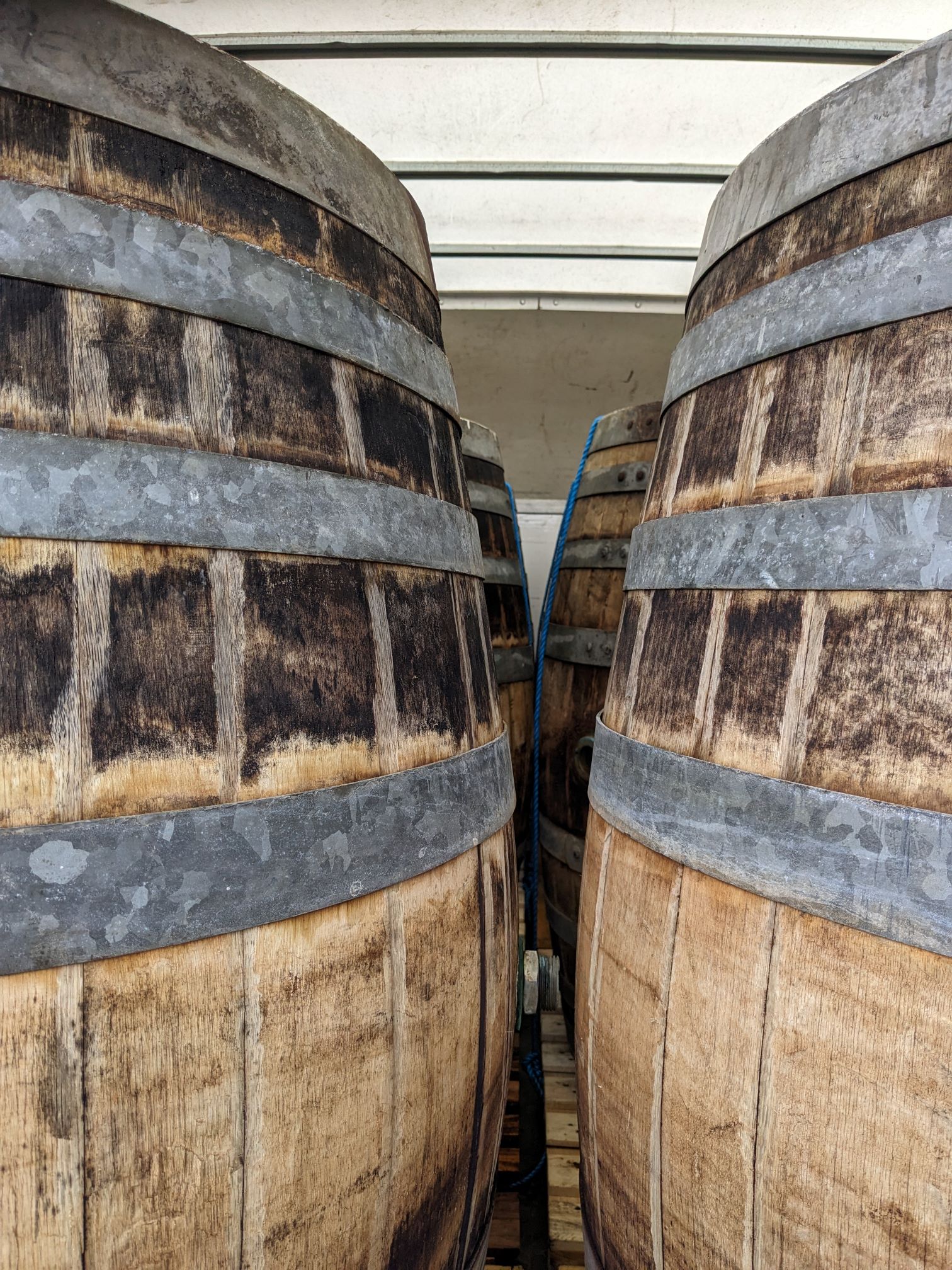 Newsroom » Carlsberg Marston’s Brewing Company and craft brewers ...