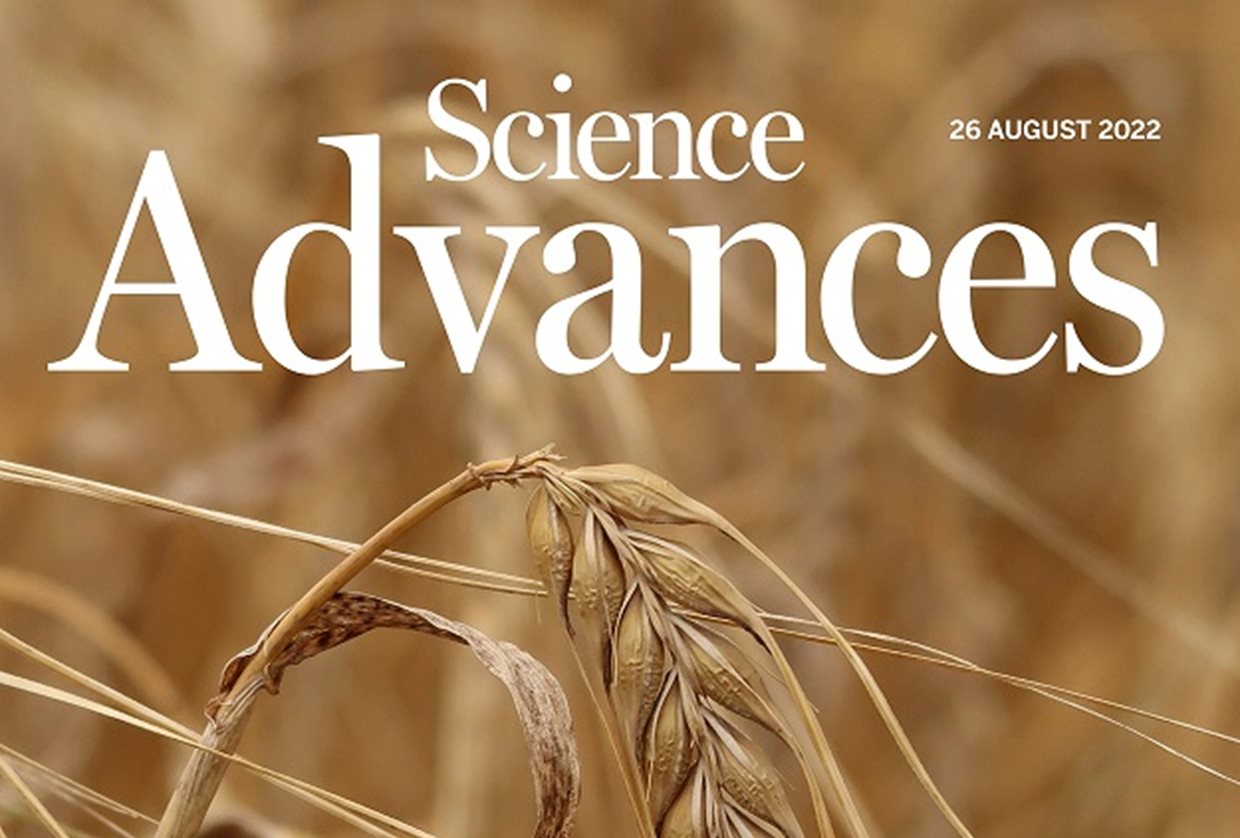 Newsroom » Carlsberg Research Lab invents a new, ultra-fast breeding ...