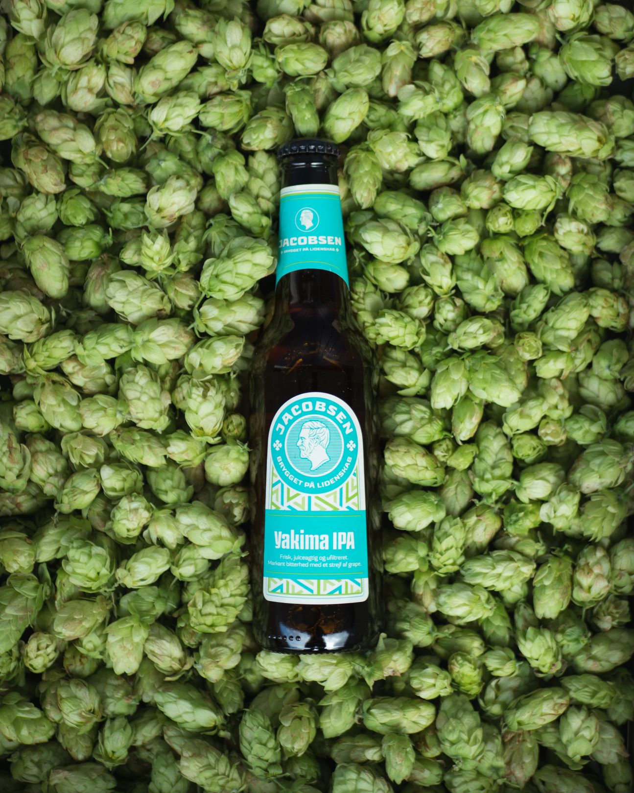 Newsroom » Yakima IPA er Danmarks mest solgte IPA « Carlsberg Danmark